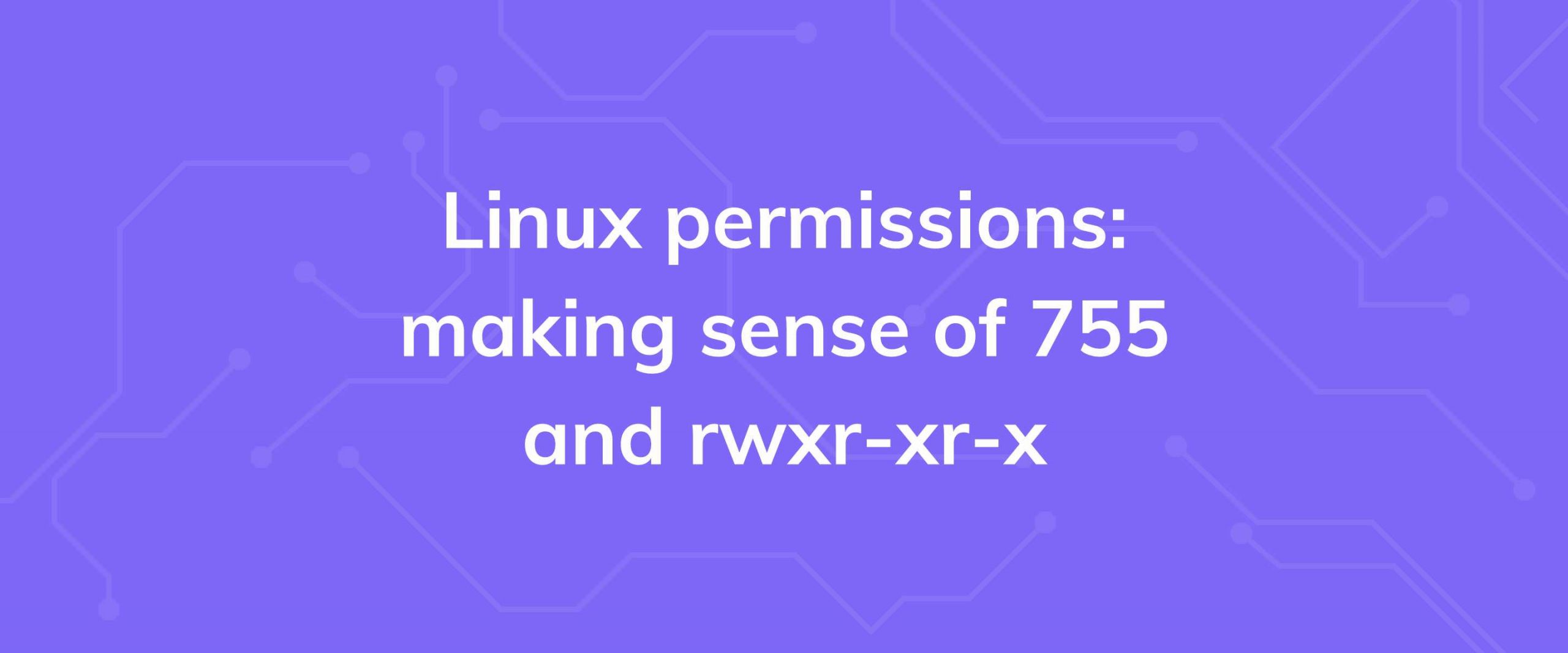 Linux Permissions Making Sense Of 755 And Rwxr Xr X Ssd Nodes